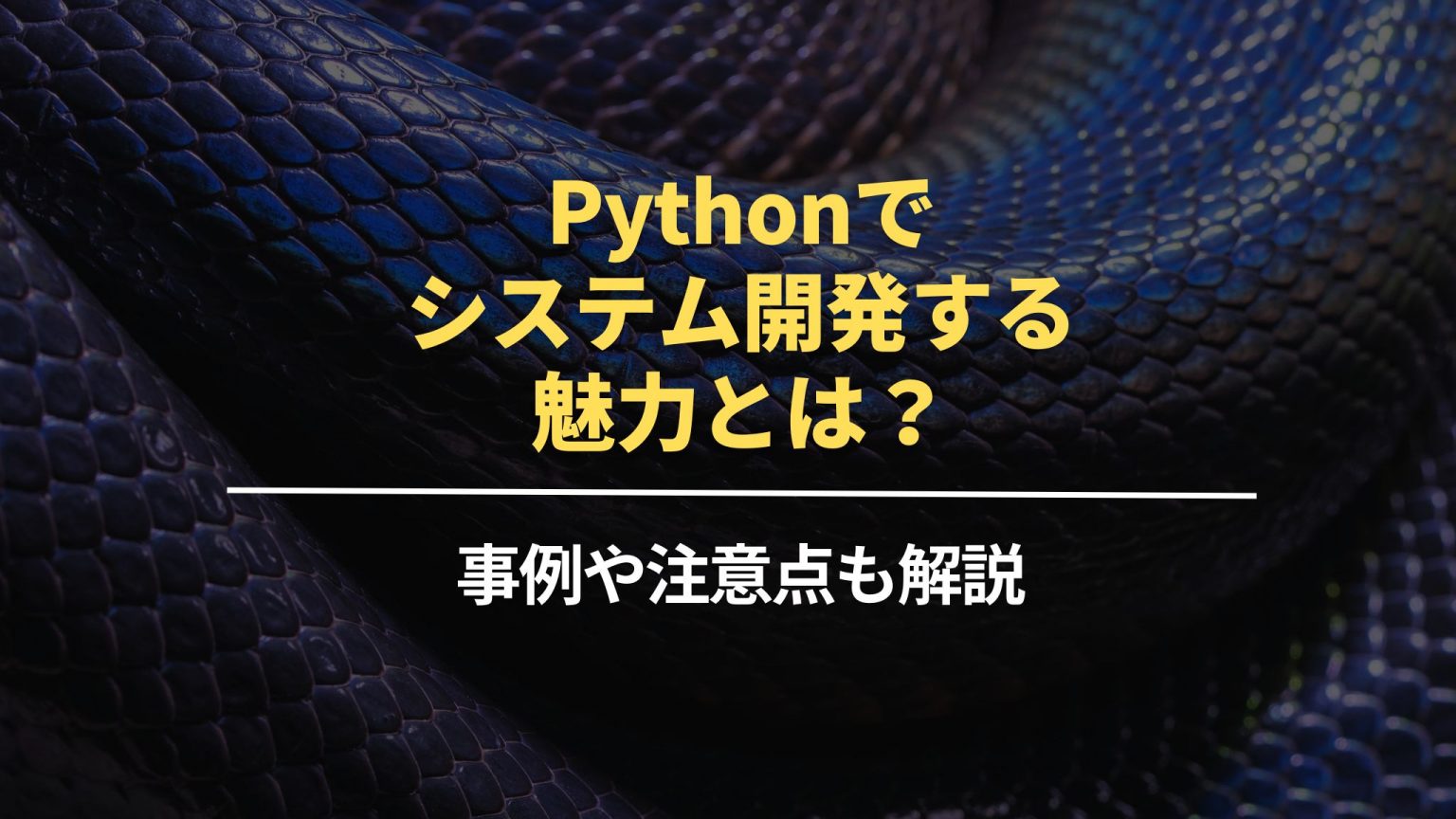 Pythonでシステム開発する魅力とは？事例や注意点も解説 - SOFT ASIASOFT ASIA
